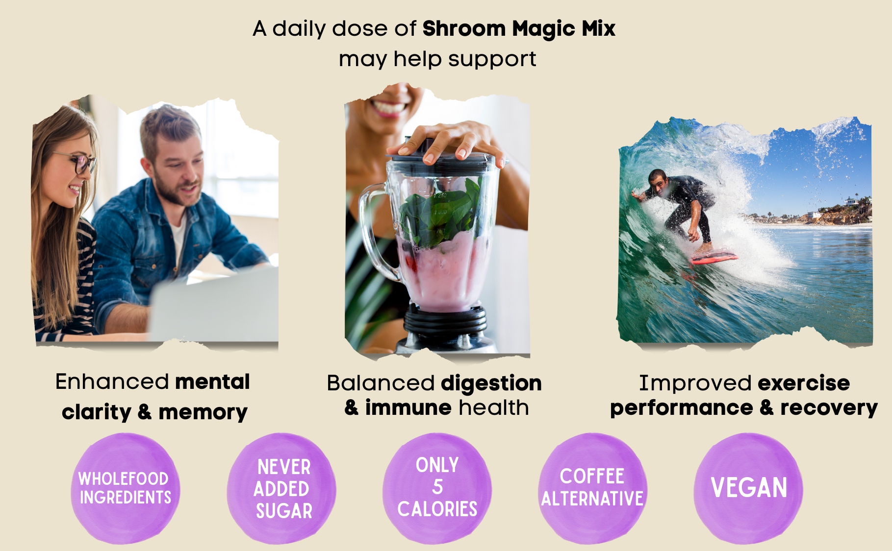 SHROOM MAGIC MIX – Natures Harvest