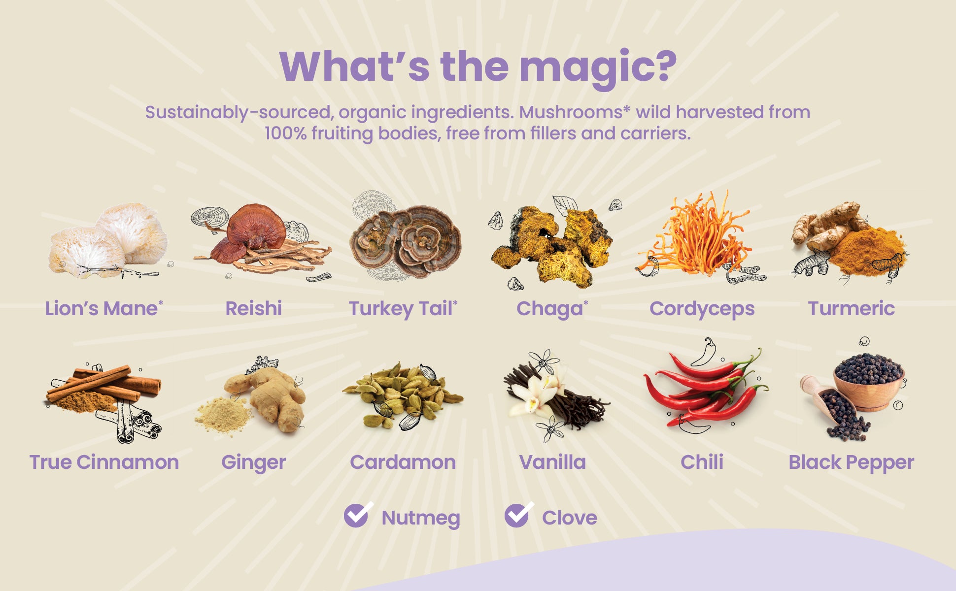 SHROOM MAGIC MIX – Natures Harvest